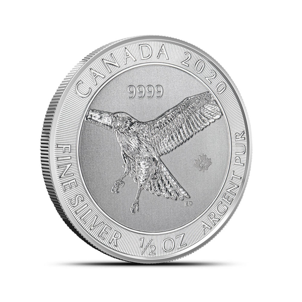 2020 1/2 oz Canadian Silver Red-Tailed Hawk Coin l BGASC™